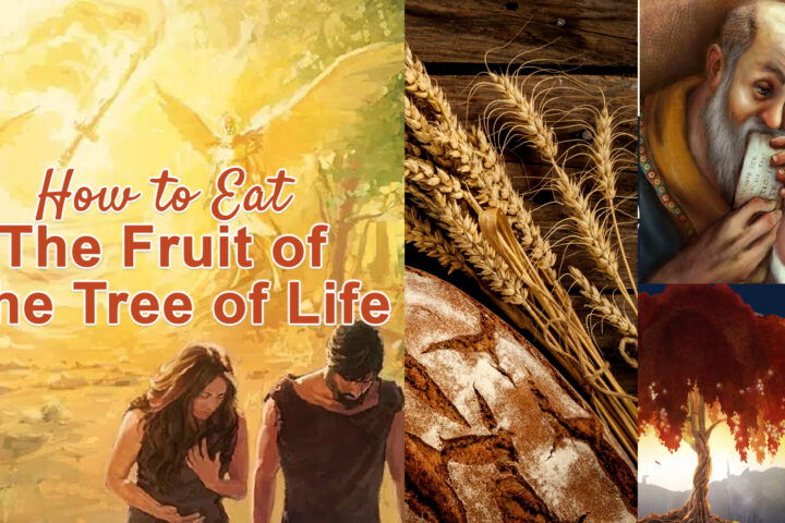 How To Eat The Fruit Of The Tree Of Life? | Calvary Tabernacle